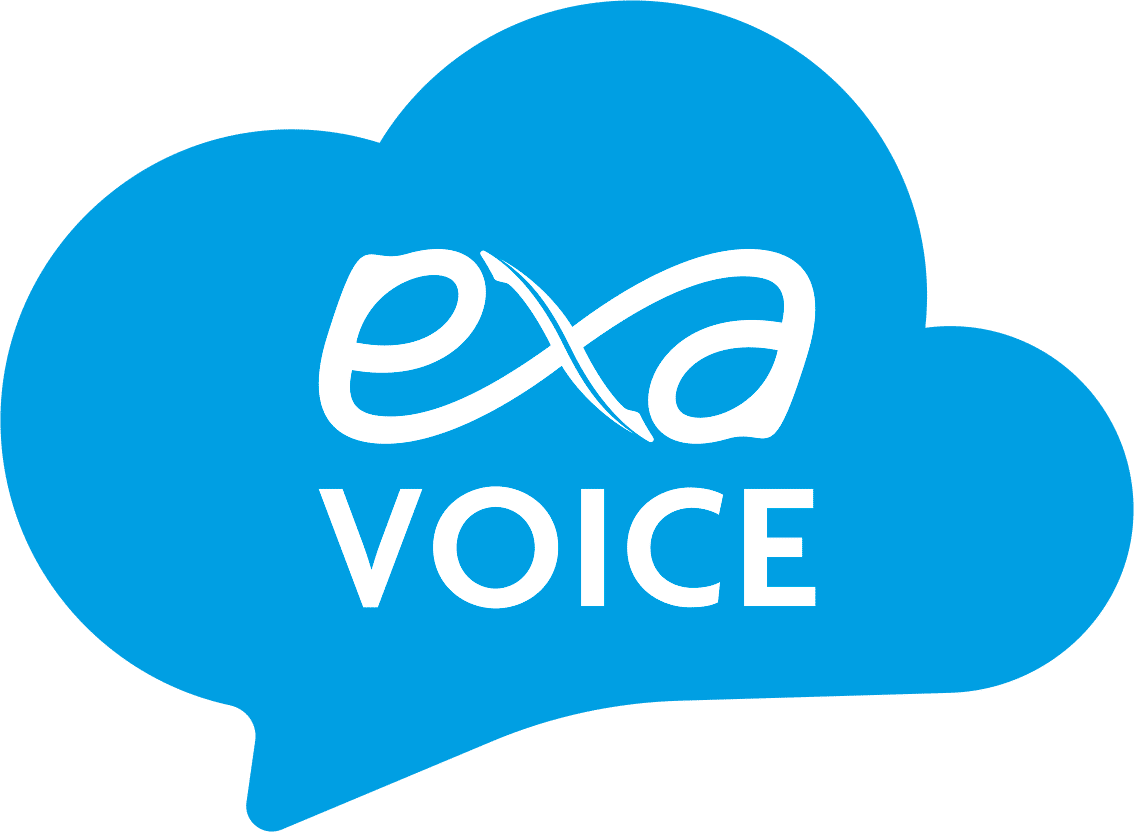 VoIP Telephony | Exa Networks